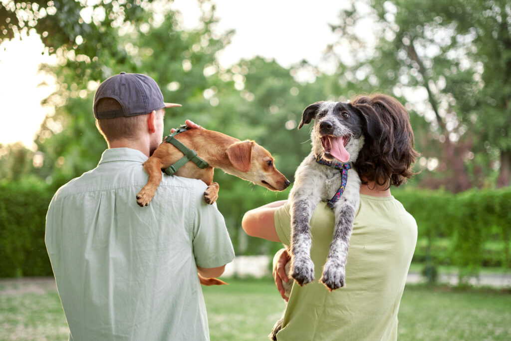 About us - Prima Pet Premium